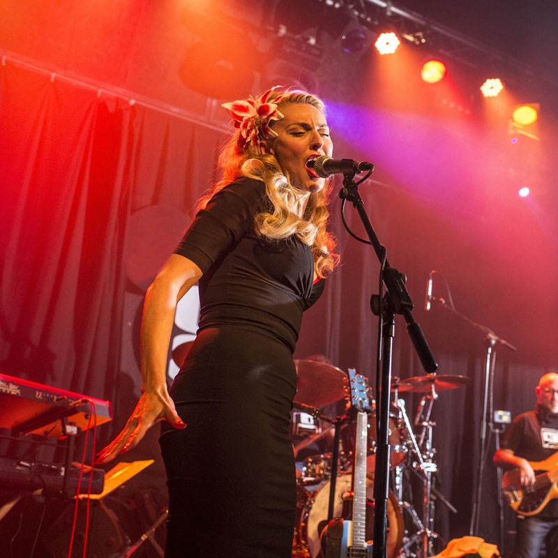 Dave Radford Entertainment | Entertainment and Talent for Events